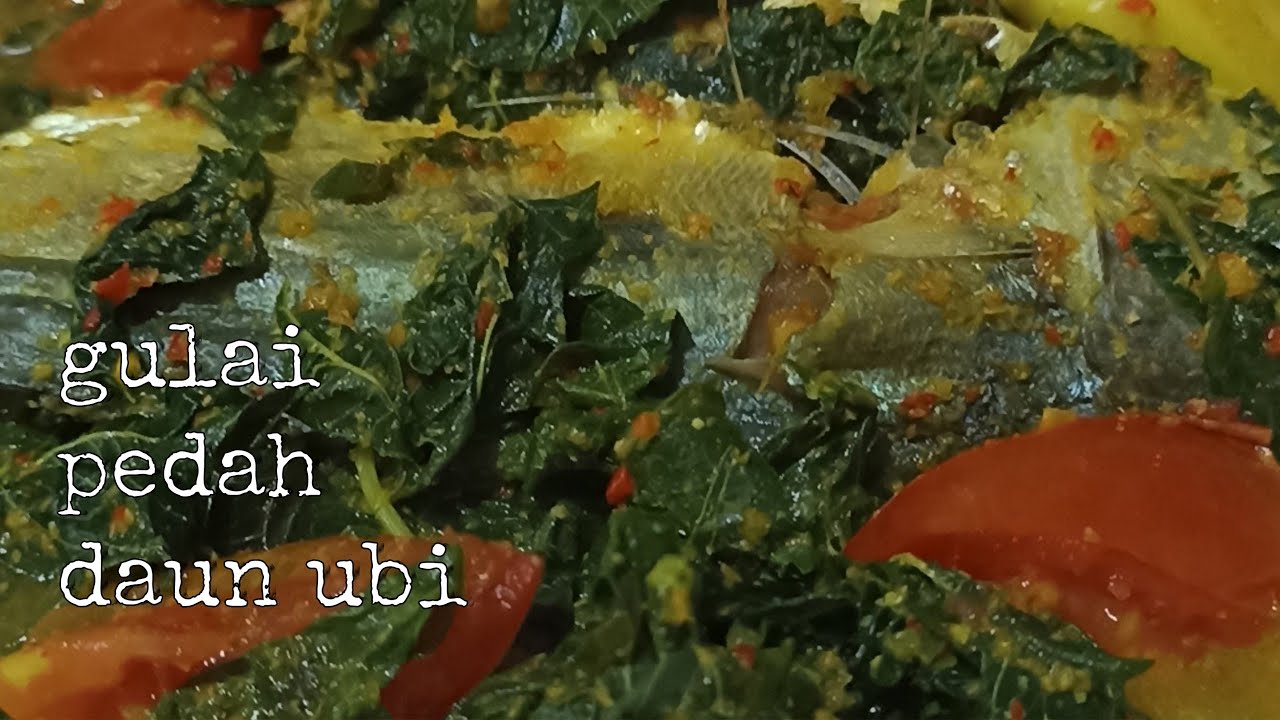 Resep Masakan Paling Simple | Gulai Pedah Daun Ubi | @BundaTengku ...