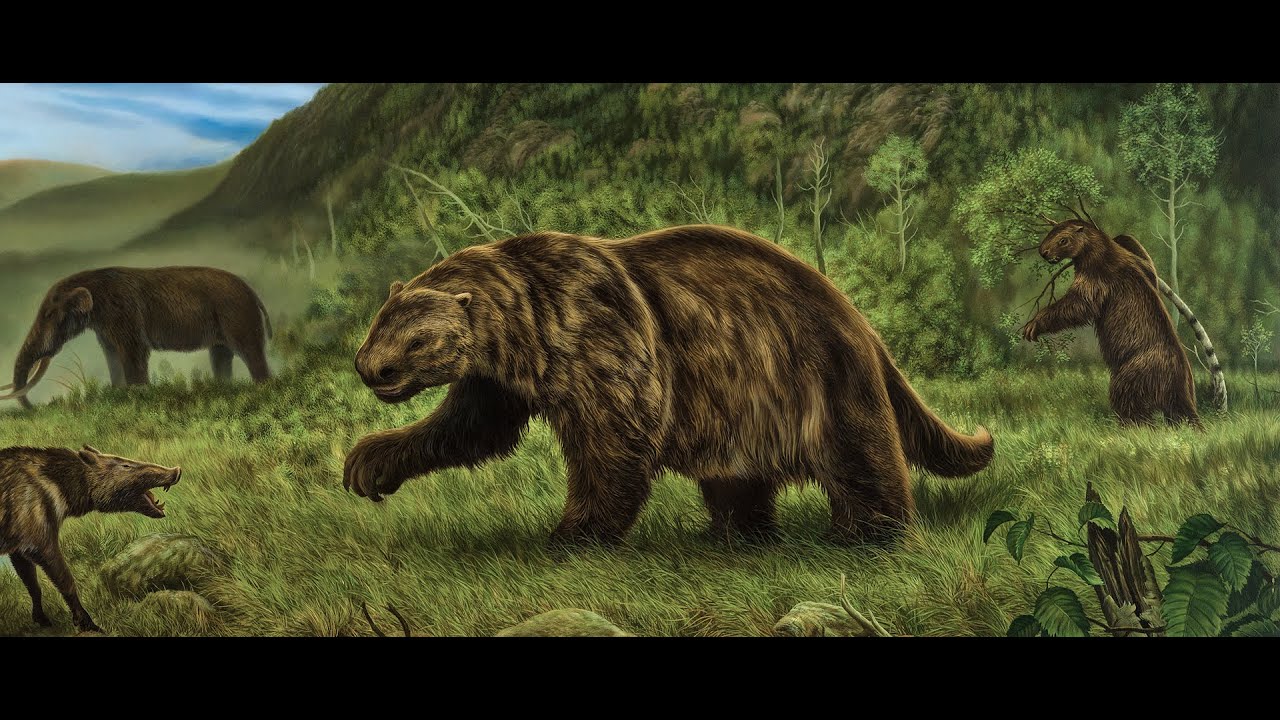 sid the sloth muscles - YouTube