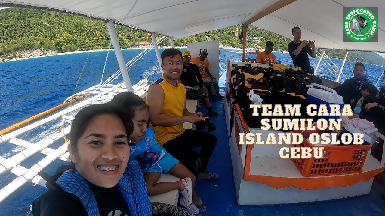 SUMILON ISLAND OSLOB CEBU DIVING WITH BLACK TIP SHARKS DIVING - YouTube