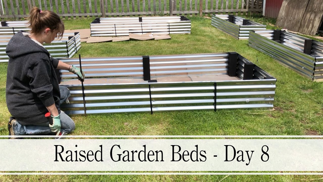 Setting The Rebar Supports For My Raised Garden Beds | Day 8 - YouTube
