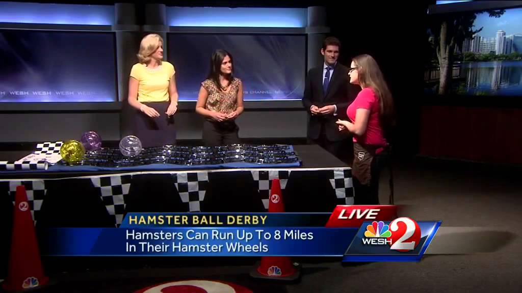 Hamster Ball Derby: Hamsters race for victory in WESH 2 studios - YouTube