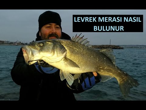 LEVREK MERASI NASIL BULUNUR MARMARA HAVA VE HARİTA OKUMA Kıyıdan Levrek Avı Tekniği