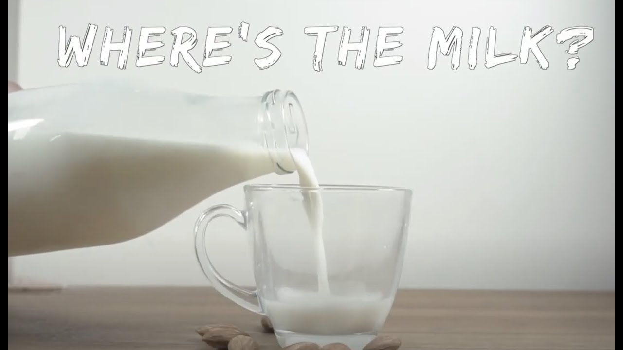 Where's The Milk|Short Film|Fullsail University - YouTube