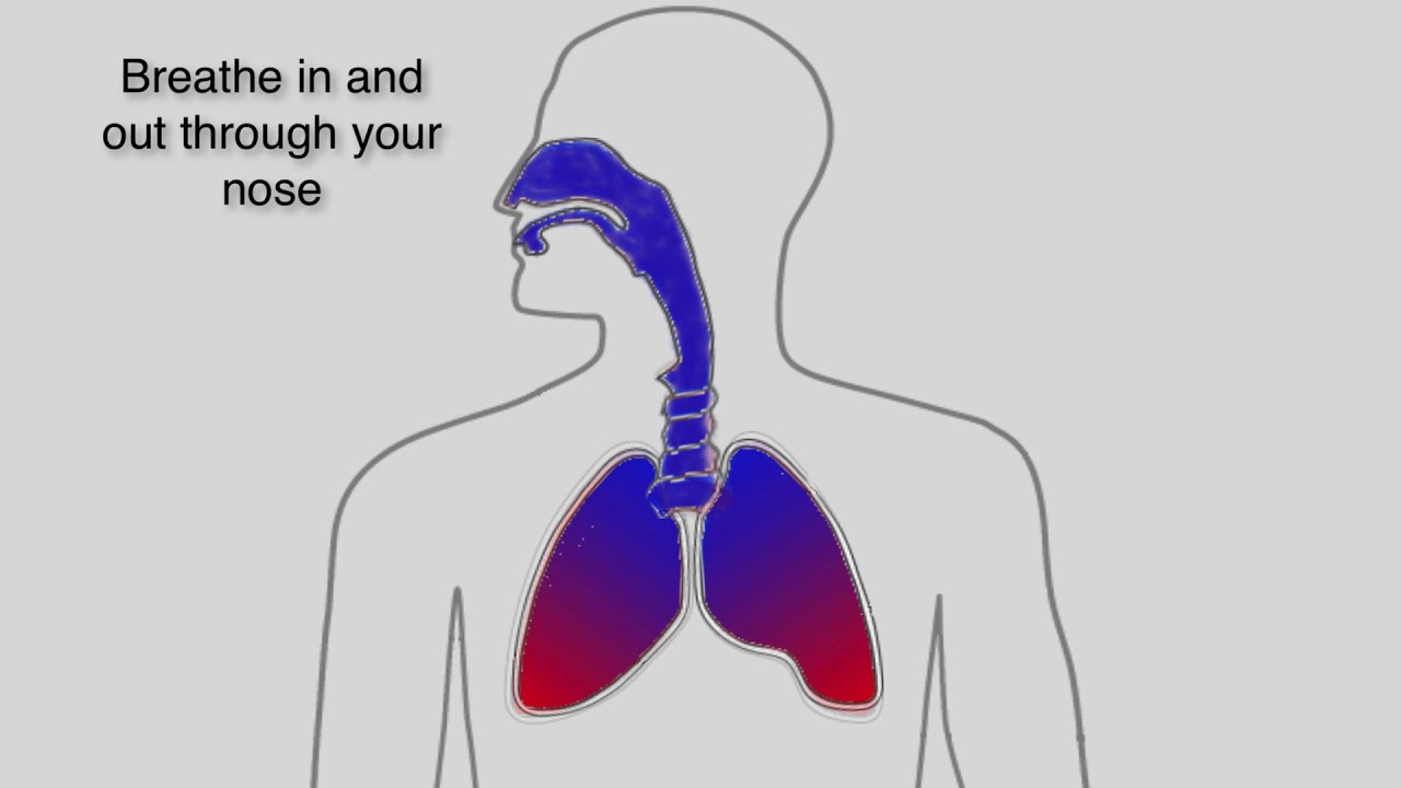 Breathing Technique when Taking a Measure - YouTube