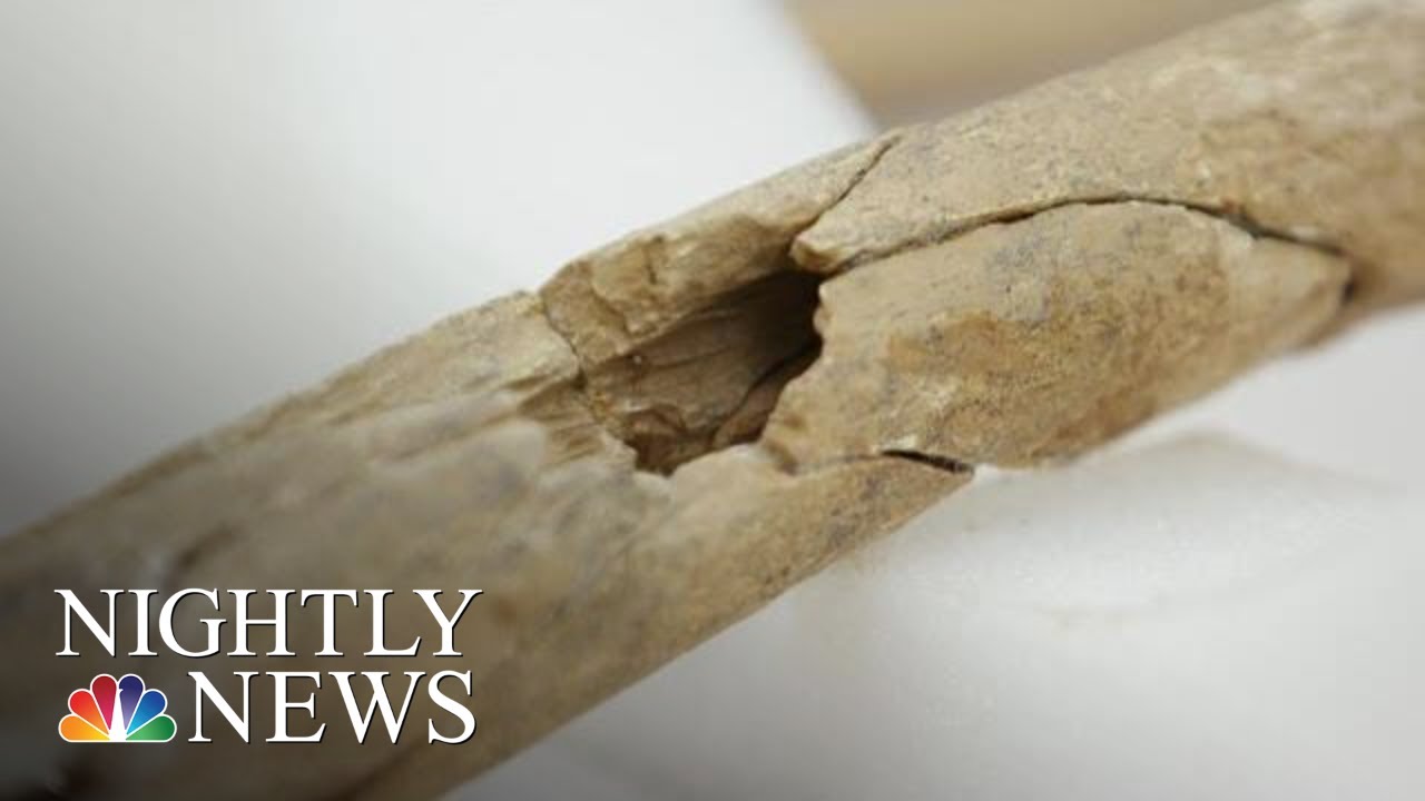 NBC News Exclusive: Scientists Find Rare Bones From Civil War ...