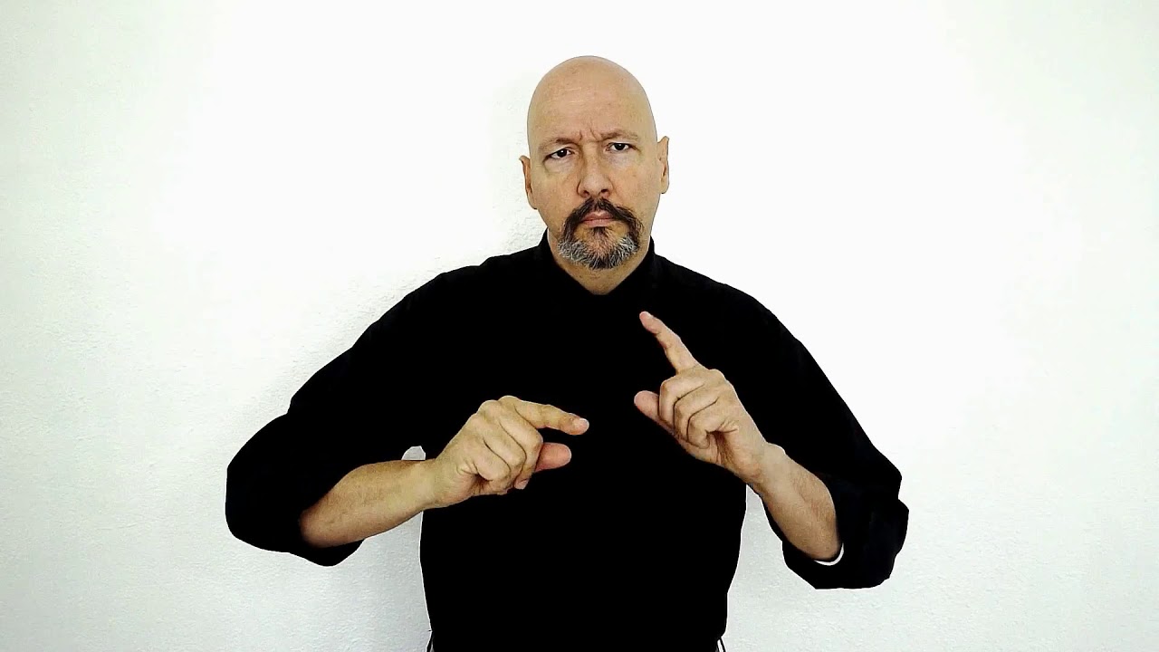 Why Sign Language: Unlocking Communication, Inclusion, and Cultural ...