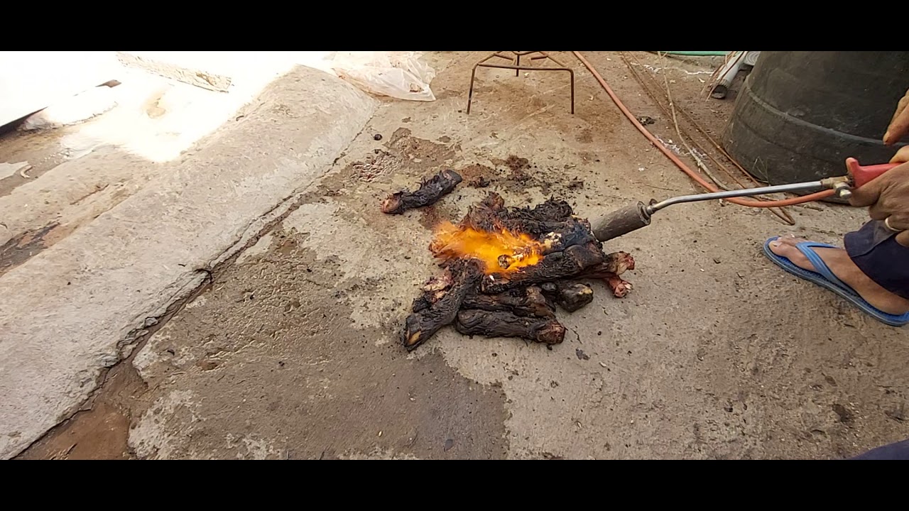 Indian's goat feet burning - YouTube