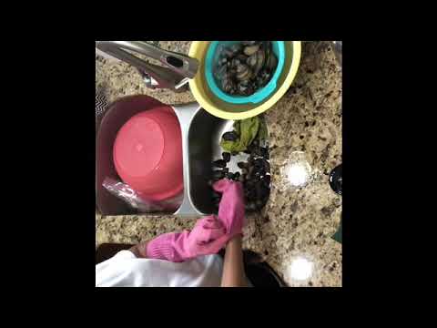 How to clean clams - YouTube
