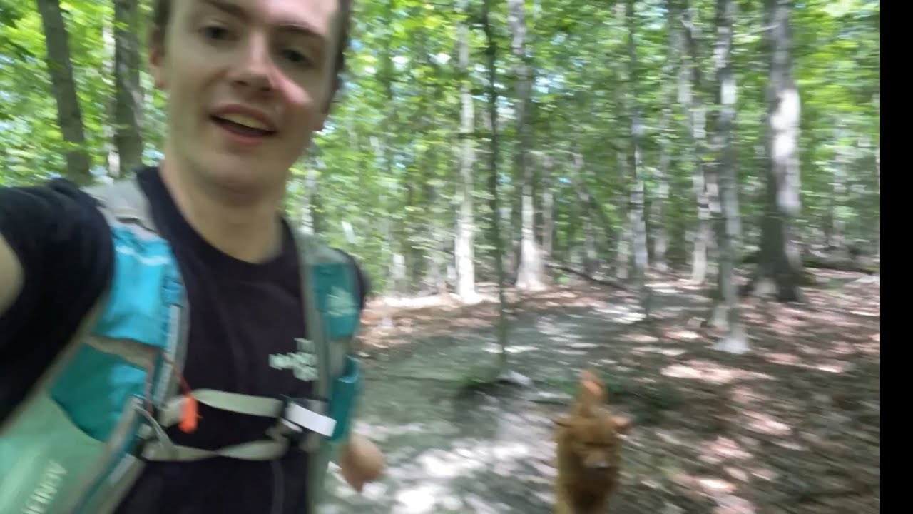 Help a beast is chasing me - YouTube