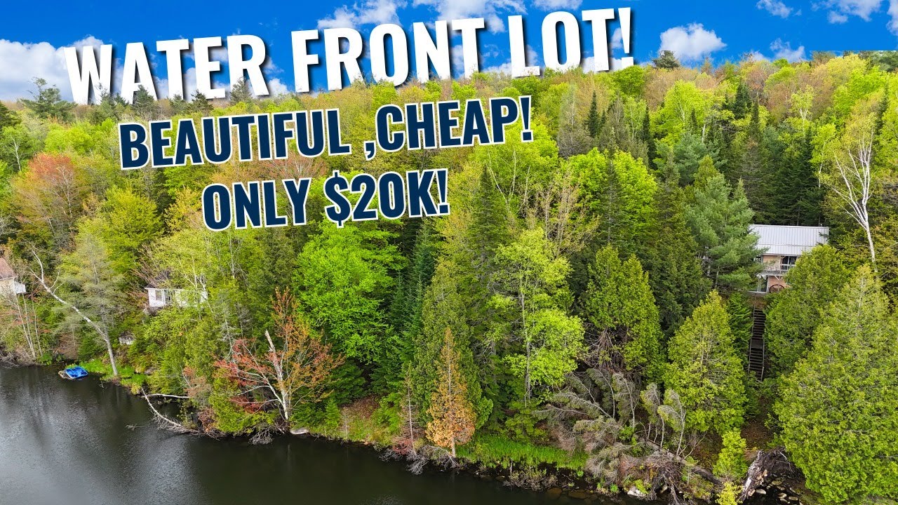 Gorgeous wooded vacant waterfront lot on beautiful Lac Evans Gore Qc ...