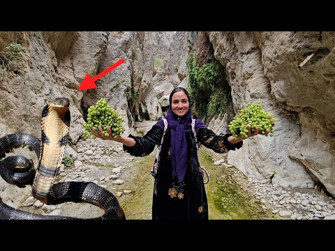 Nomadic Life: A nomadic mother's effort to prepare food in the mountains.
