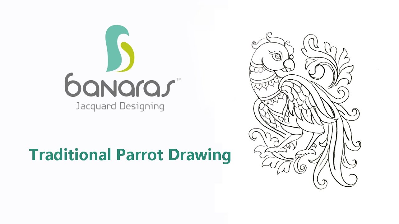 Traditional Parrot Drawing - YouTube