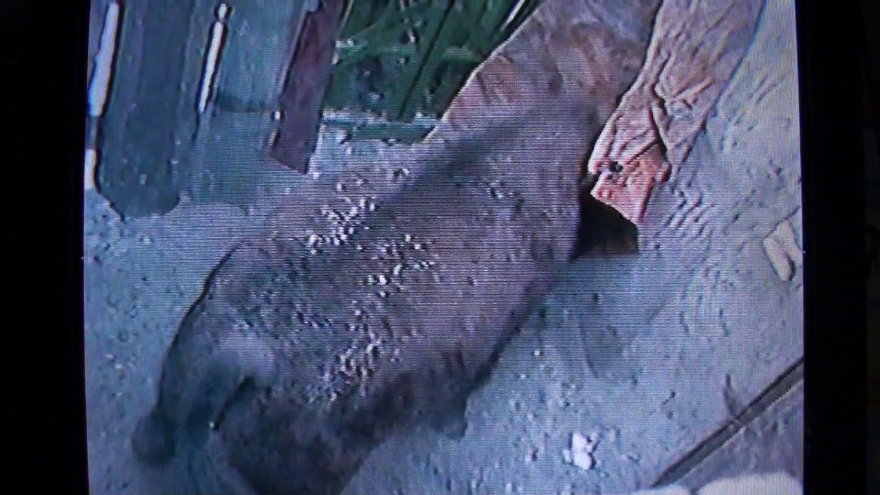 Buffalo November 16, 1998 - YouTube