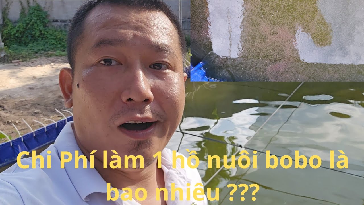 Hướng Dẩn Nuôi Bobo và Chia sẻ Chi Phí - YouTube