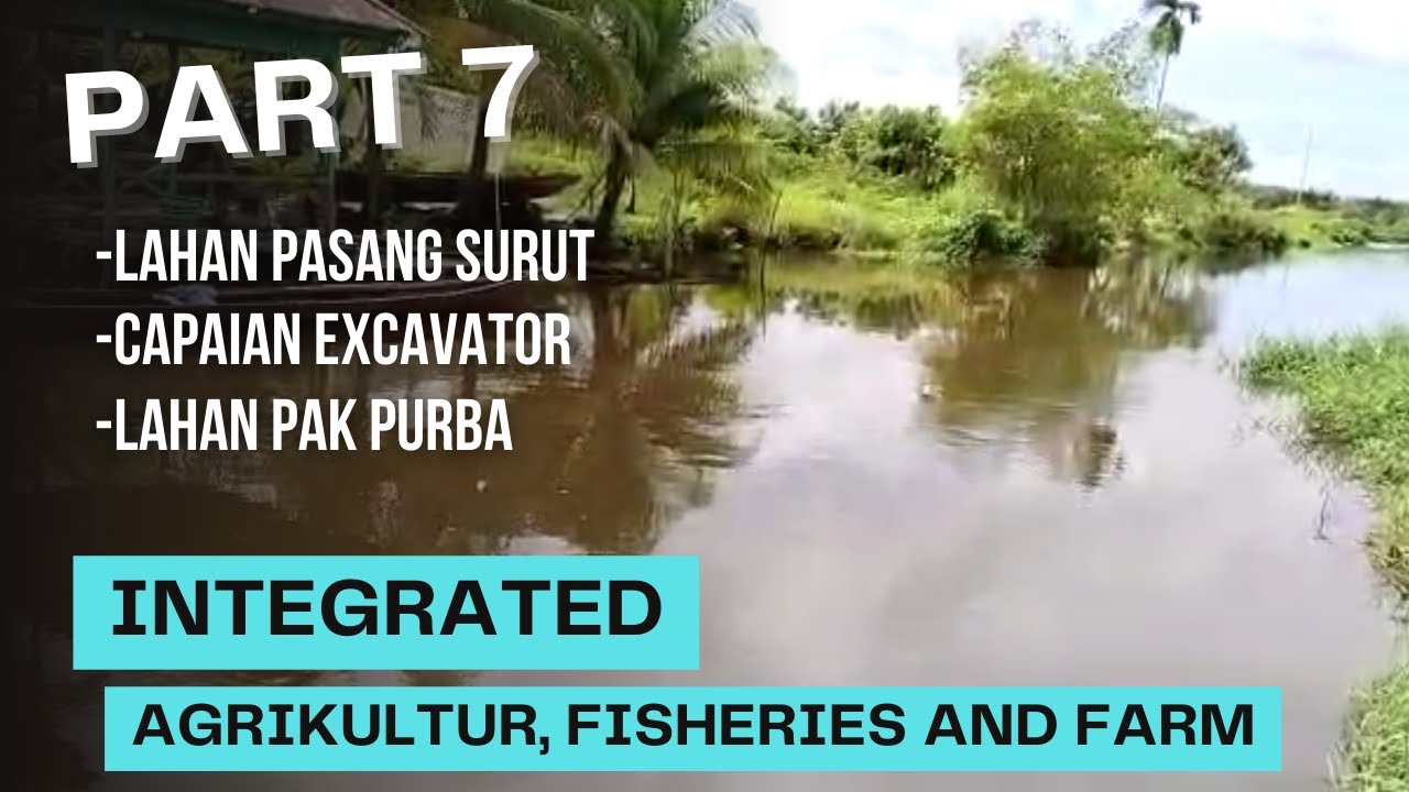 Pengelolaan Lahan Pertanian Pasang Surut Part 7 - YouTube