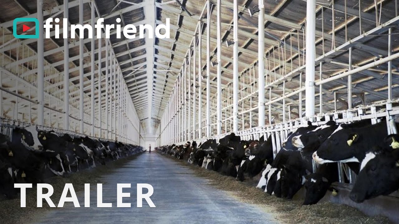 Das System Milch TRAILER - YouTube