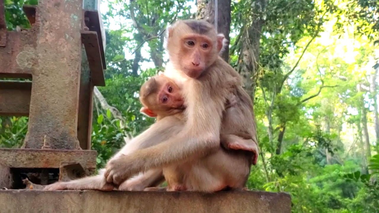 Angela hugs & fun play with team - YouTube