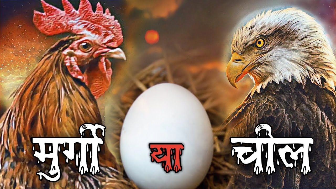 Kahani Cheel Aur Murgi Ki | Eagle and Hen Story in Hindi | Ansh ...