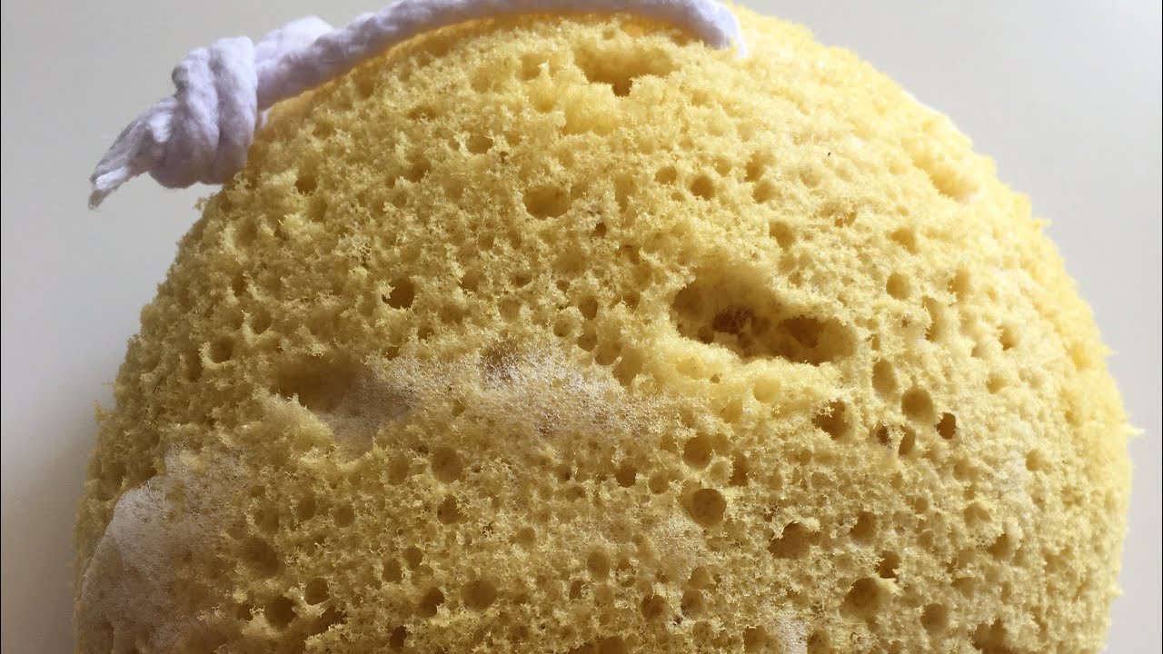 Natural Bath Sponge Bits Soapy Ripping - YouTube