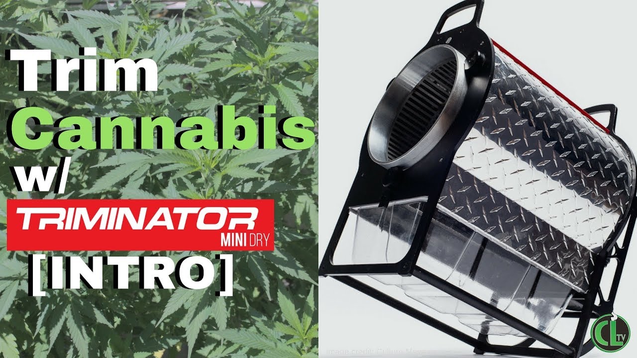 Triminator Mini Dry Review + Tutorial Series | Cannabis Lifestyle TV ...