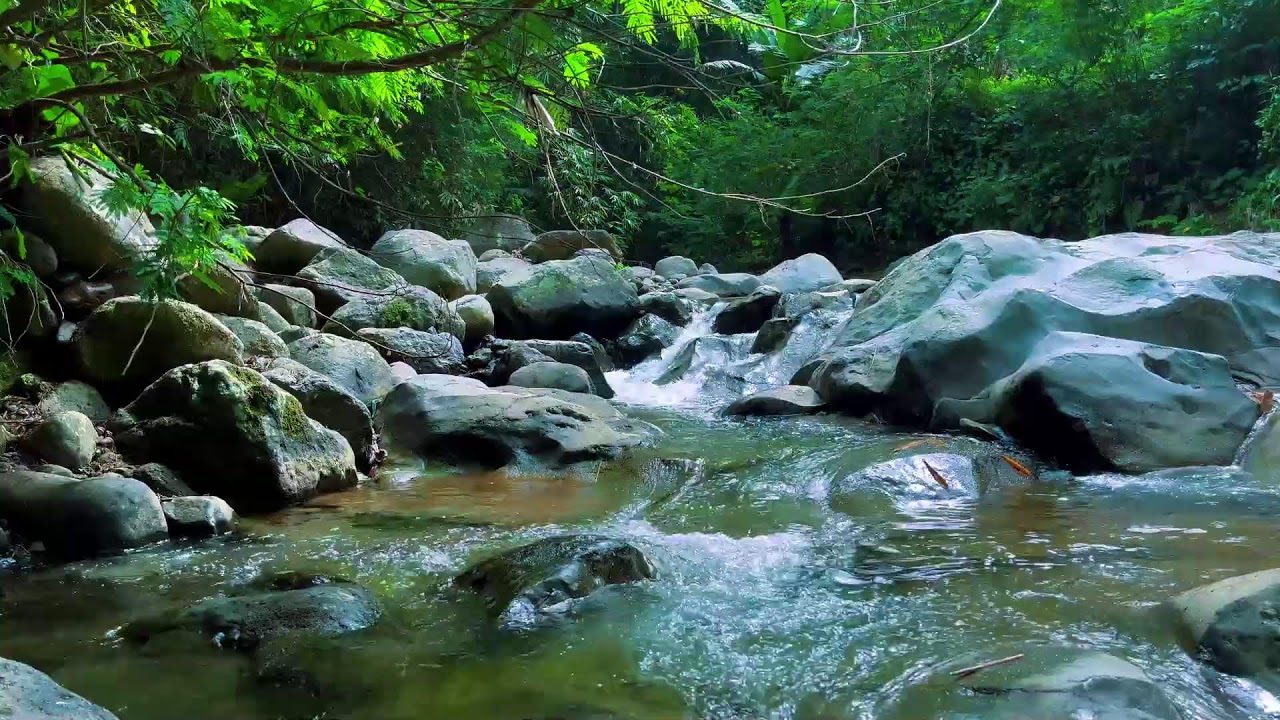 Gentle Trickling Water - 12 hours - No Music - YouTube