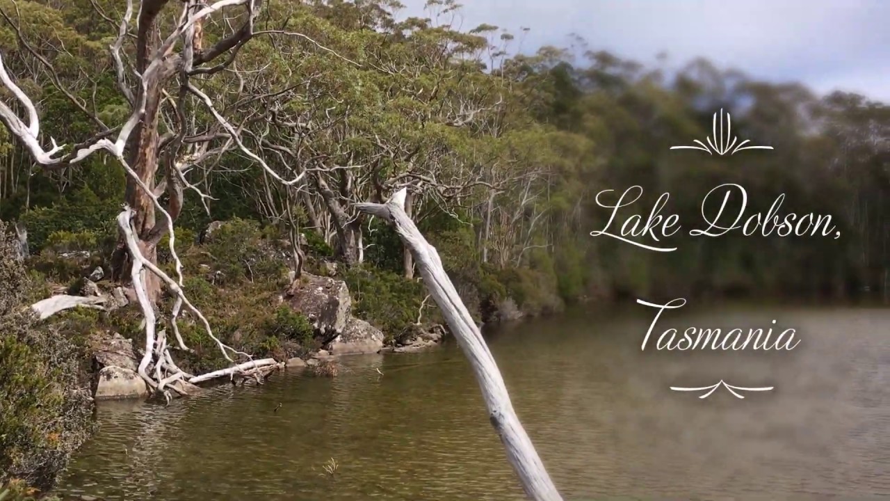 Lake Dobson, Tasmania - YouTube