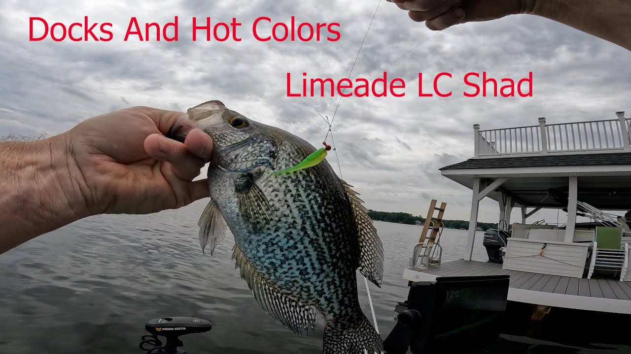 Great Bait Colors For Fishing Docks And Tips - YouTube