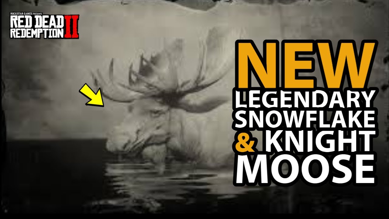 *BRAND NEW* Legendary Moose in Red Dead Online - YouTube