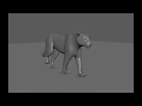 Leopard - Walk Cycle - YouTube