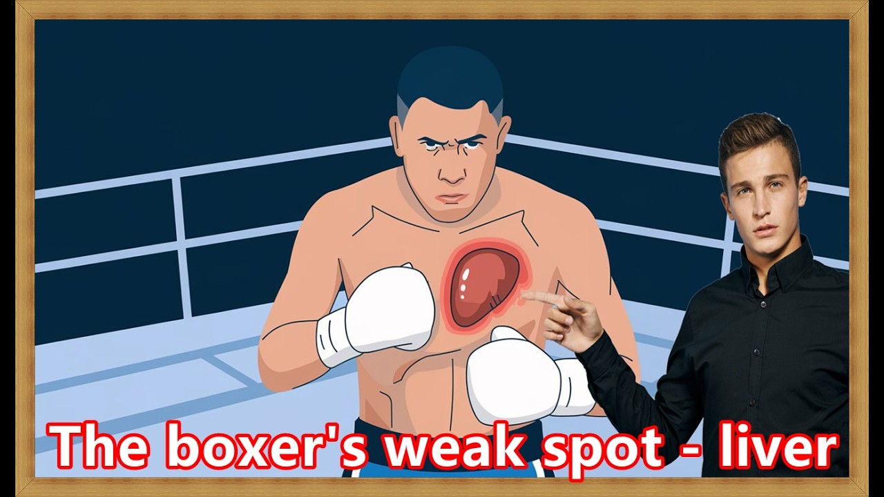 How Is the Liver the Boxer's Weak Spot?Discover the Truth! - YouTube