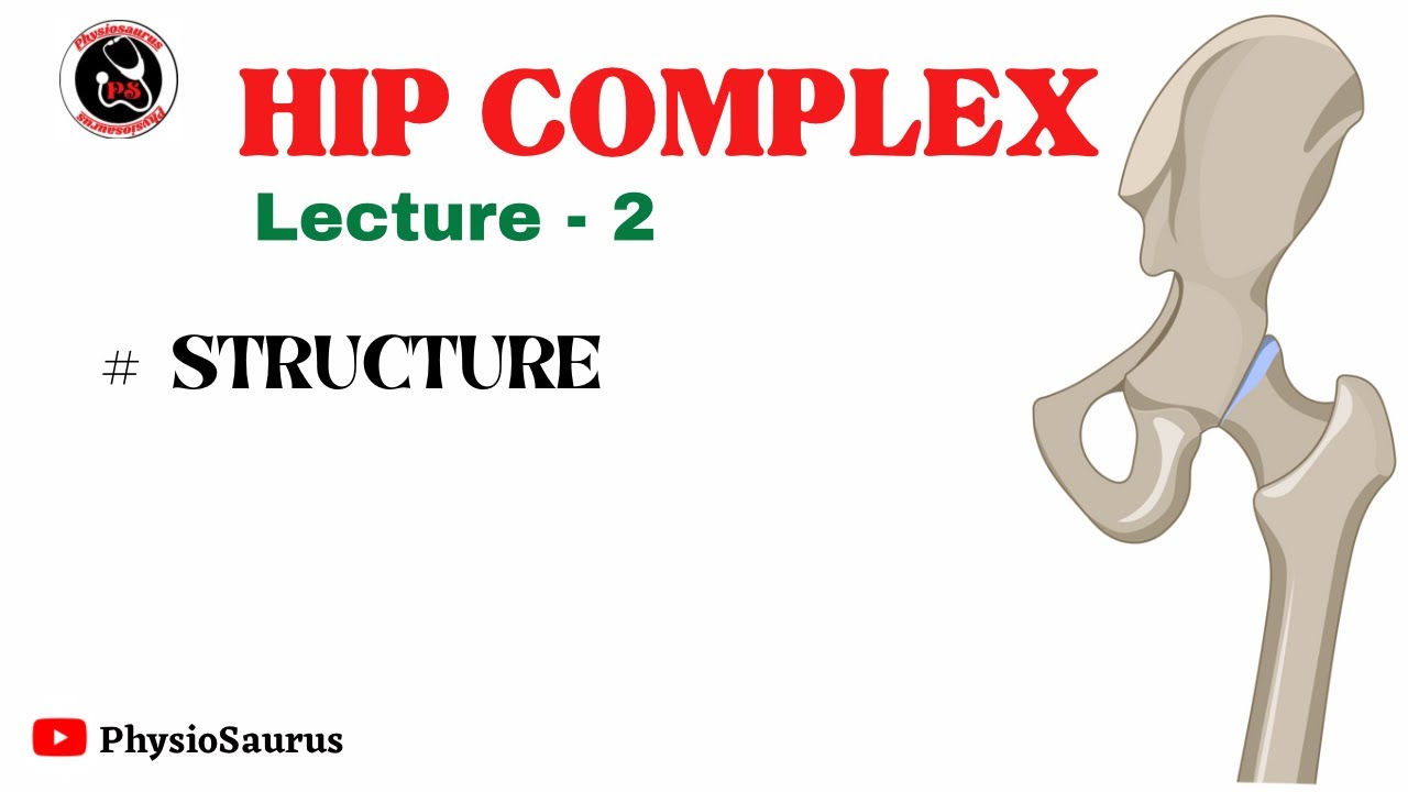 Hip complex | Structure - YouTube