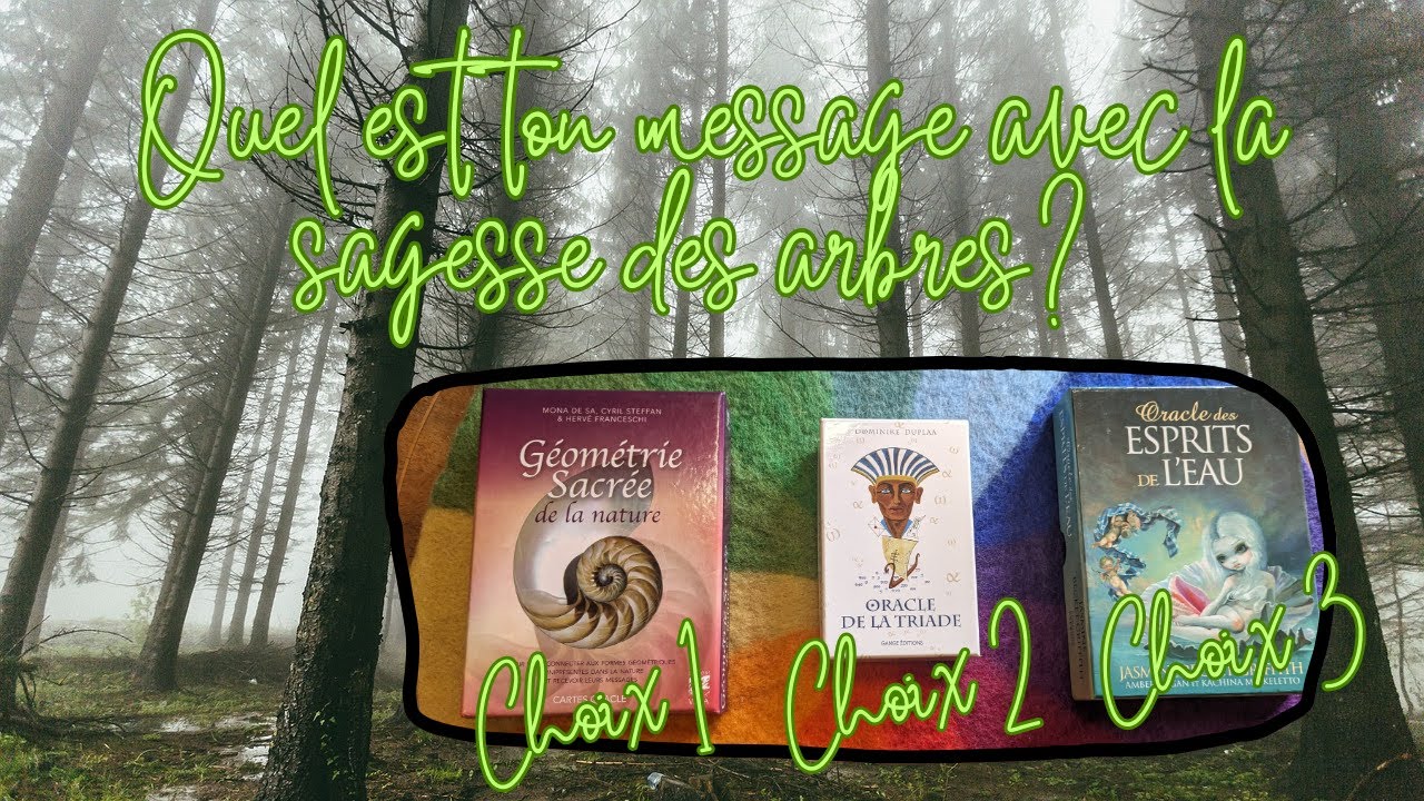 Guidance à choix Quel est ton message avec la sagesse des arbres - YouTube