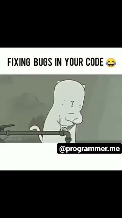 Fixing Bug in your Code #shorts#codewithdani#memes#codingmemes - YouTube