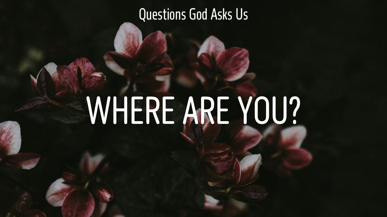 Where are you? // QUESTIONS GOD ASKS US // Dustin Bennett - YouTube