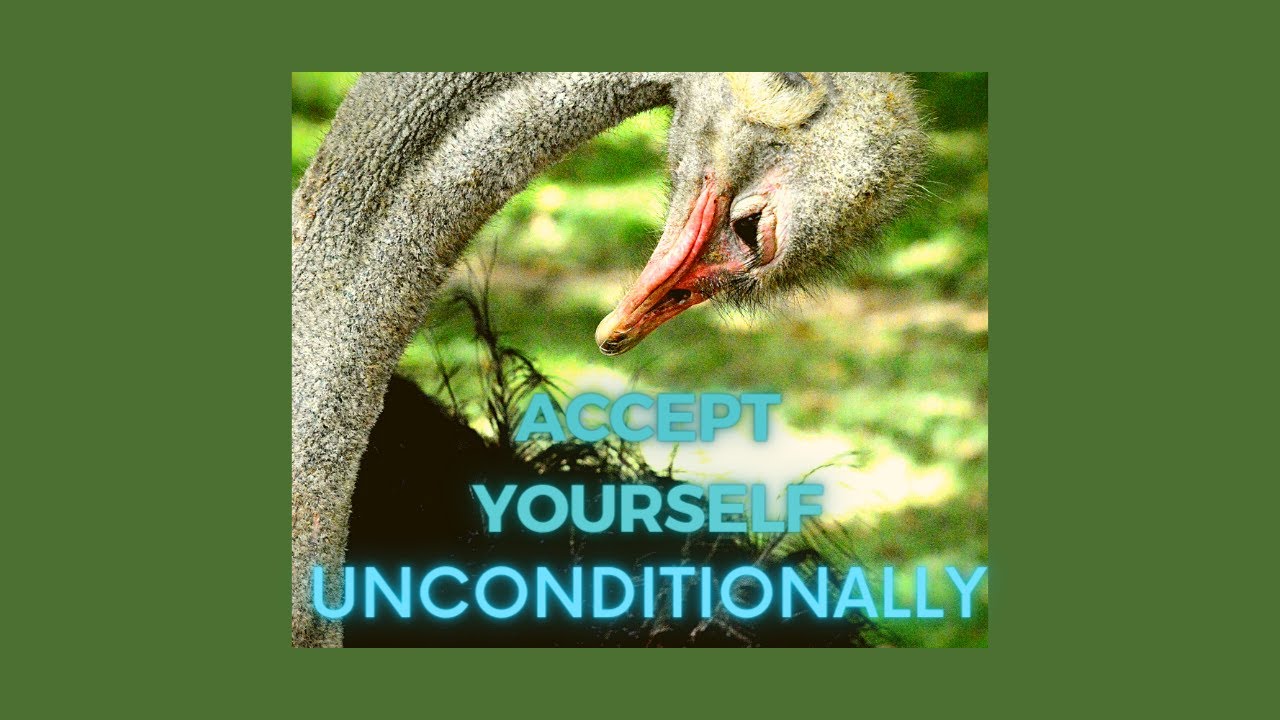 How To Accept Yourself Without "IF"s and "BUT"s - 3 Simple Steps ...