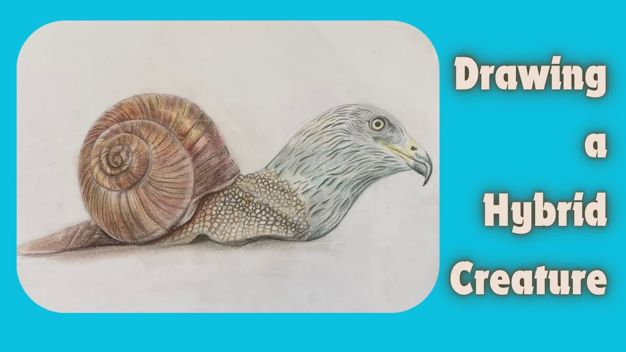 Drawing Hybrid Creatures - YouTube