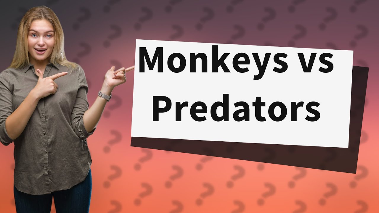 What is a monkeys worst enemy? - YouTube