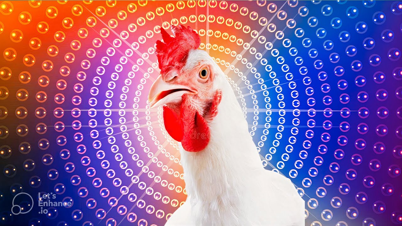 chicken song & chicken dance | sweet remix | j.geco - YouTube