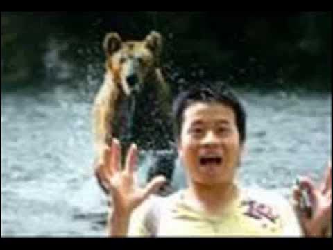 I Met a Bear Song - YouTube