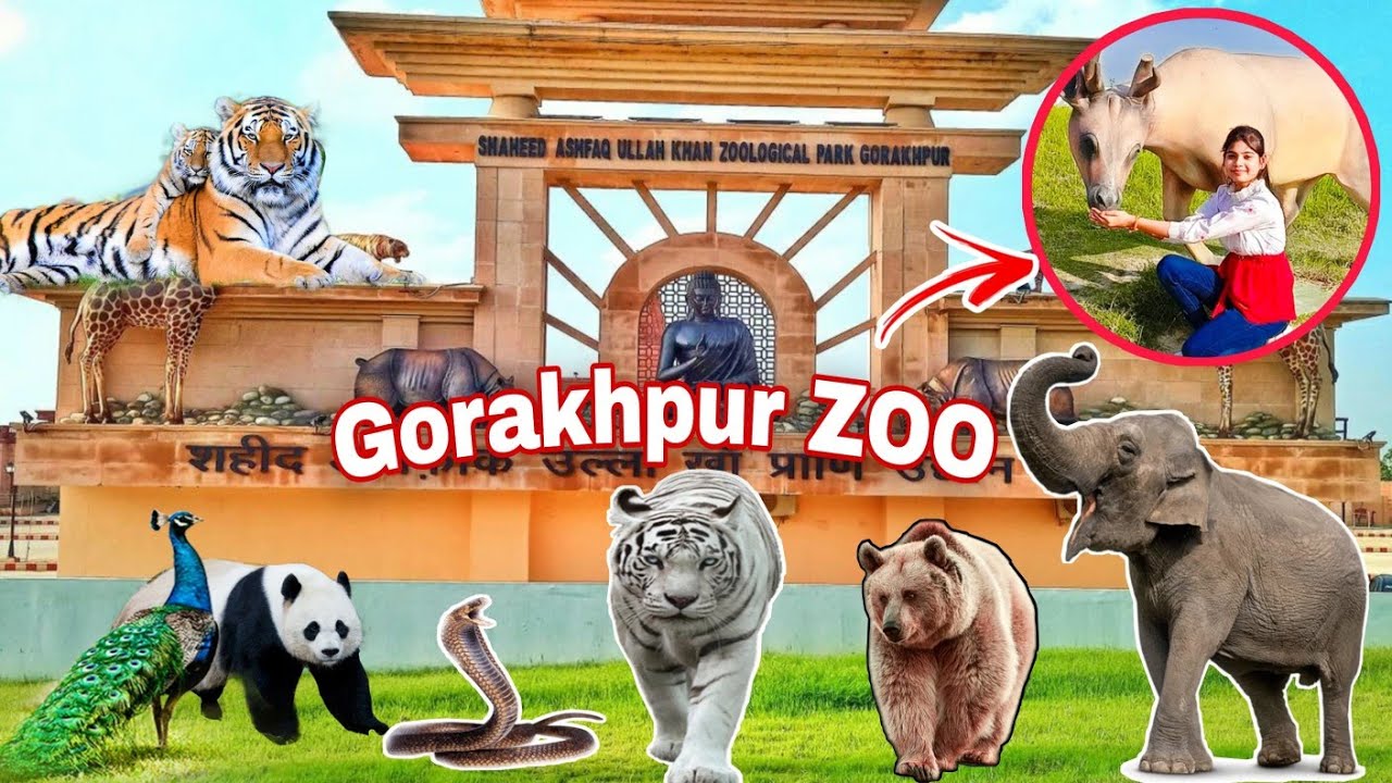 Gorakhpur Zoo | Gorakhpur ChidiyaGhar | गोरखपुर चिड़ियाघर | Zoo Full ...