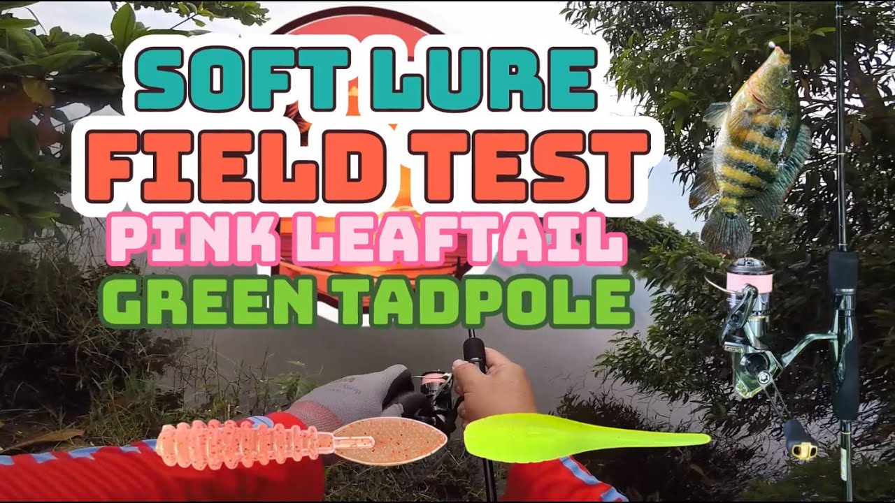 Soft Plastic Field Test - YouTube