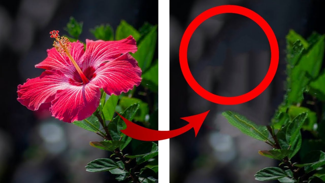 How to remove object from photo online | How to use inpaint photo ...