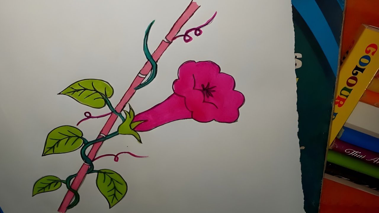 How to Draw & Paint Kolmi Lota Flower | Morning Glory Art Tutorial ...