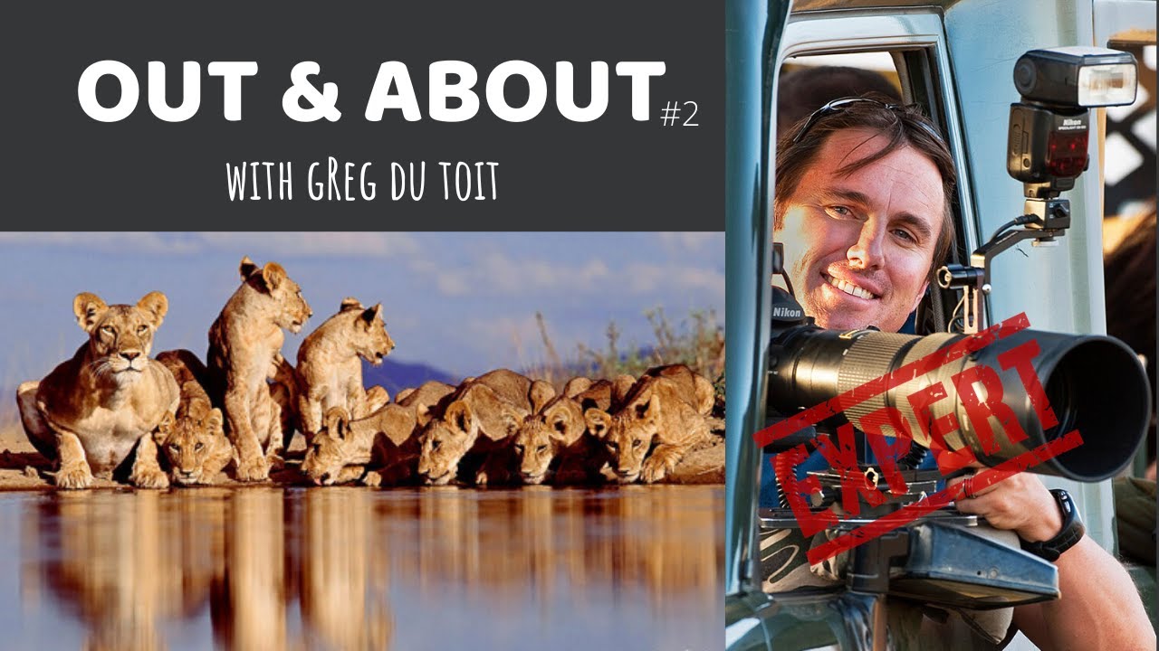 Out & About with Greg du Toit - Interview with an expert wildlife ...