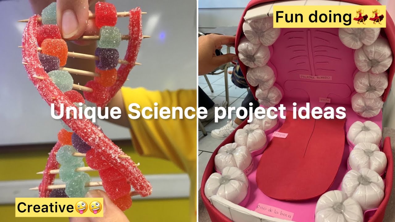 Top 10 Unique and Creative Science Project for School Ideas💃 # ...