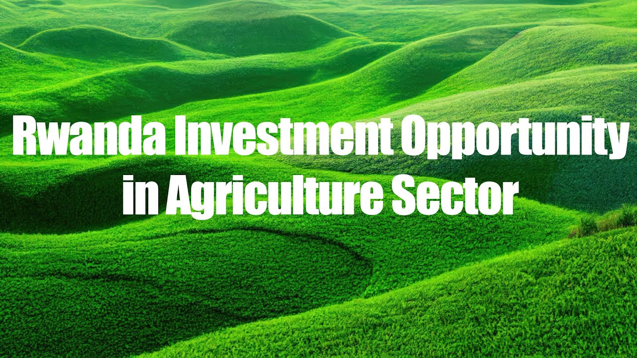 Rwanda Investment Opportunities in Agriculture Sector - YouTube