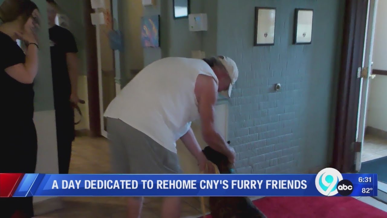 A day dedicated to re-home CNY's Furry Friend's - YouTube