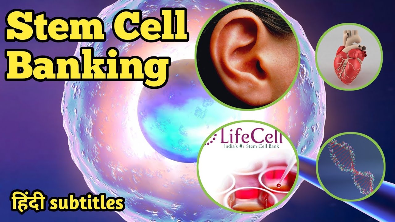 stem cell banking - YouTube
