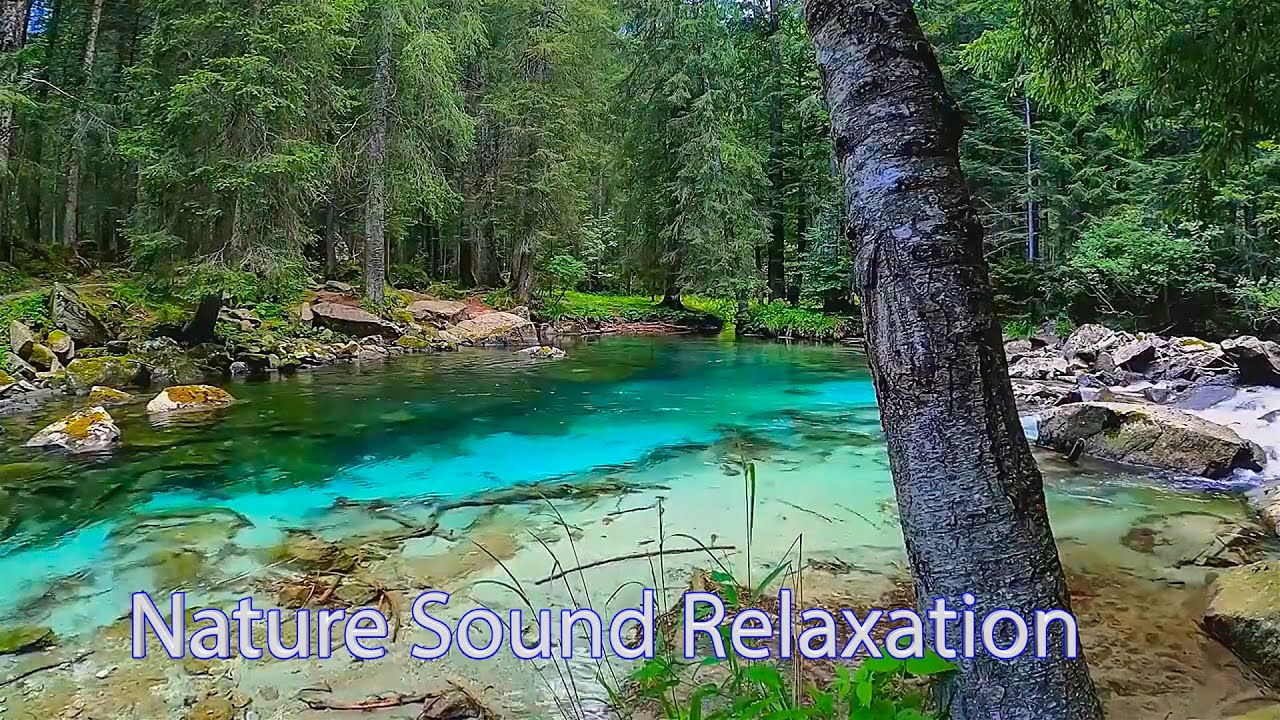 Nature Sound Relaxation, Nature Sounds, Birdsong, Forest Sounds - YouTube