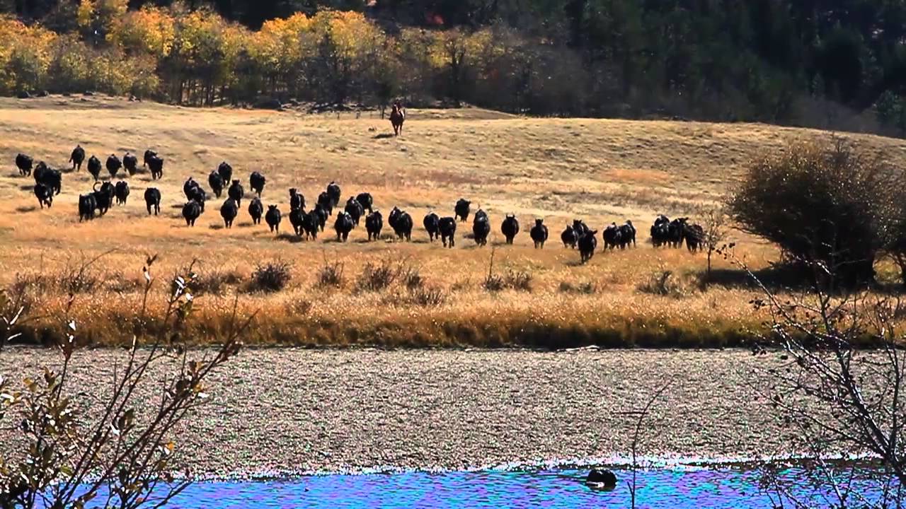 East Rosebud Creek_Clint Branger - YouTube